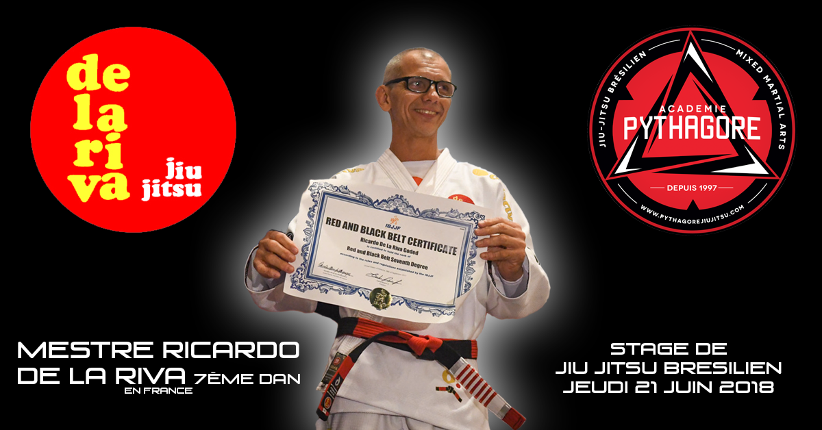 Stage de Jiu Jitsu Brésilien avec Ricardo De La Riva 7ème Dan ...
